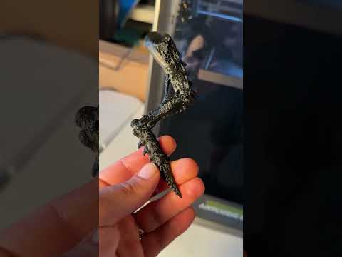 Printing W40K Pieces with AnyCubic Kobra S1 3D Printer