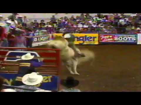 Bodacious bucks Jason Keeley - 93 Bullnanza-Nashville
