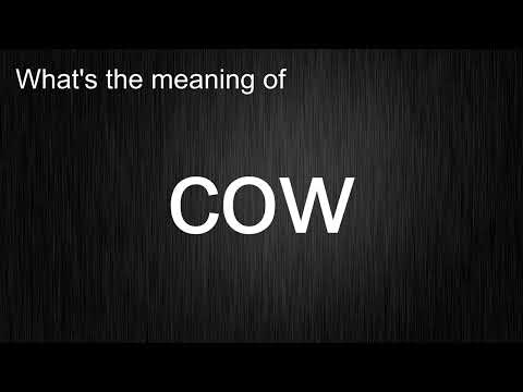 What's the meaning of "cow", How to pronounce cow?