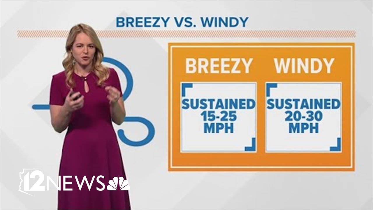 What's the difference between 'breezy' and 'windy?'