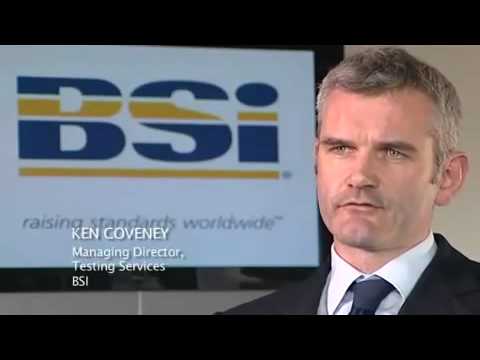 BSI Raising the Standard - how standards can help you