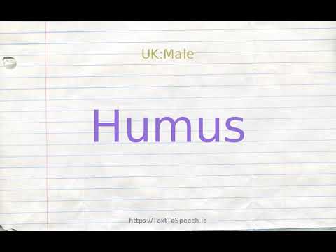 How to pronounce humus