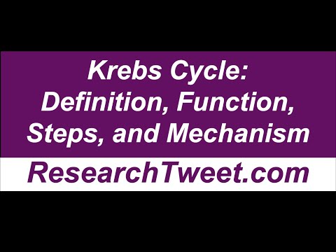 Krebs Cycle: Definition, Function, Steps, and Mechanism