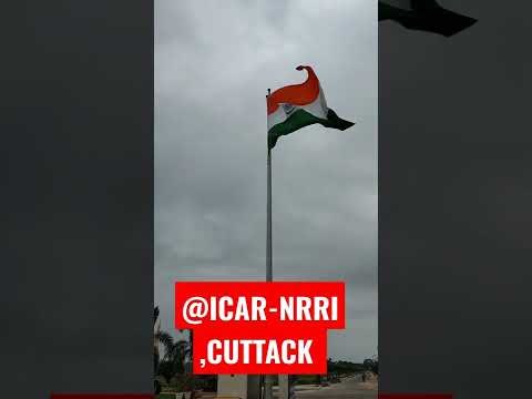 ICAR-NRRI, CUTTACK