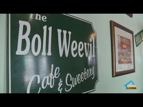 Local Living | S2:E11 - Boll Weevil