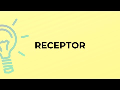What is the meaning of the word RECEPTOR?