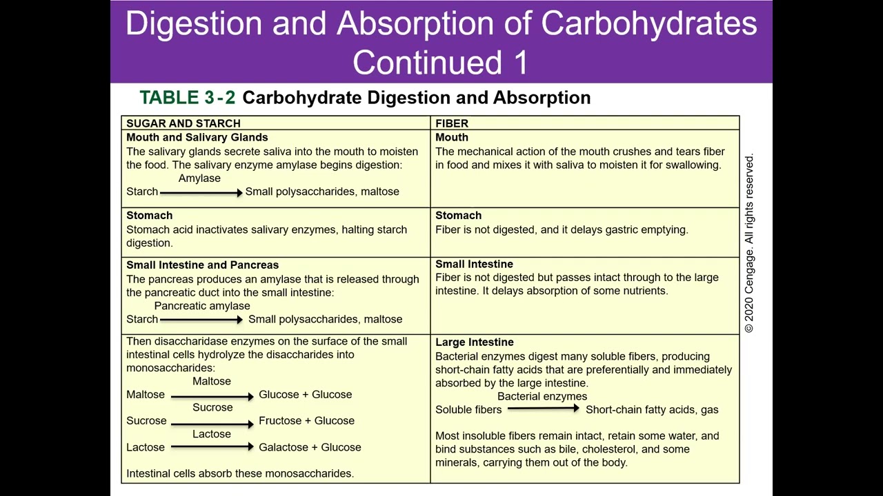 Carbohydrates Chapter 3
