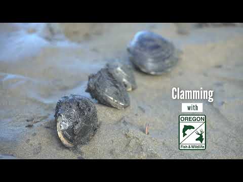 Clamming 101 with Oregon Dept. of Fish & Wildlife