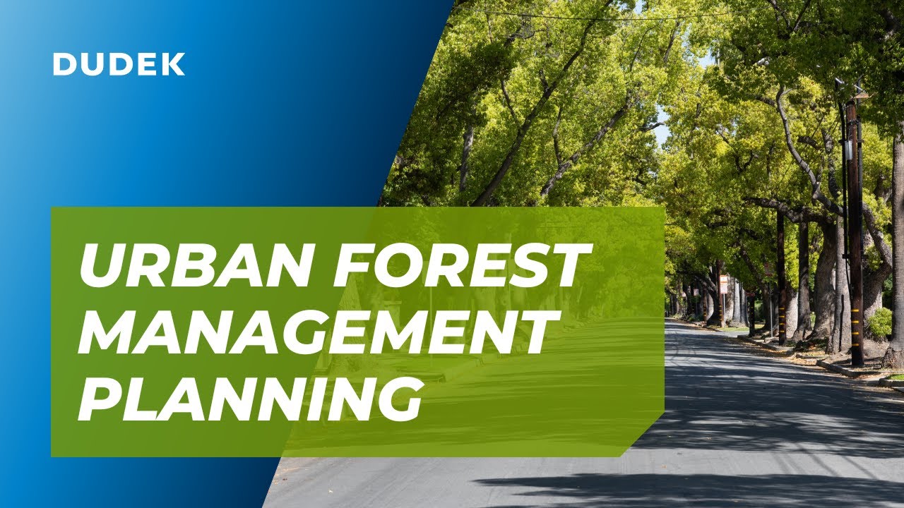 Branching Out: Benefits + Best Practices for Urban Forest Management Plans | Dudek Webinar