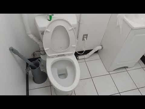 SaniFlo Macerating toilet
