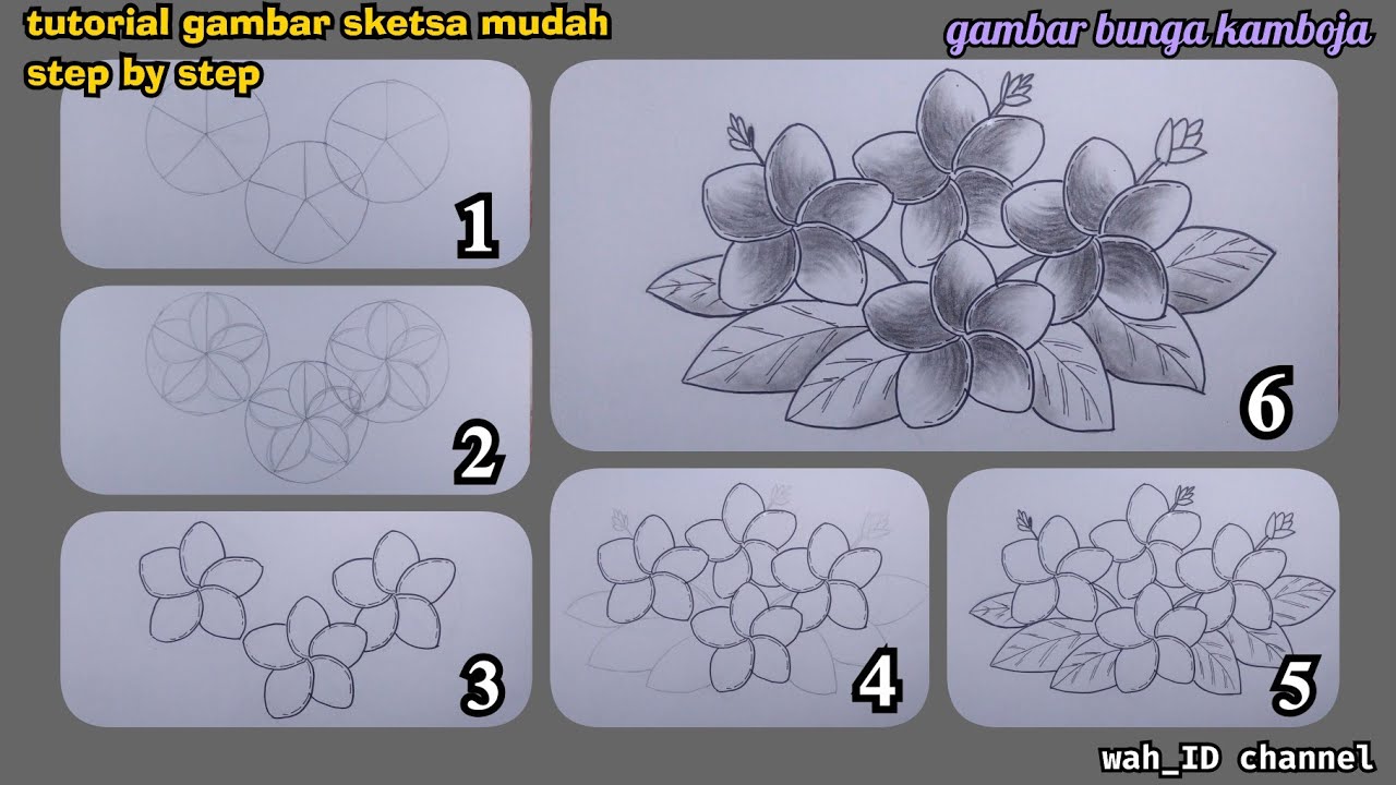 gambar bunga kamboja simple | belajar menggambar sketsa mudah step by step | tutorial gambar sketsa