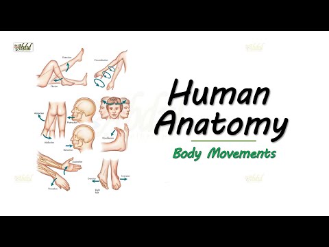 Human Anatomy - Body Movements (Easy explanation for Medical and Allied Healthcare Students...)