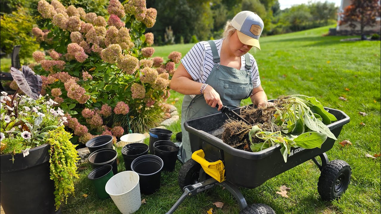 How to Divide Perennials to Get FREE Plants! Easy Beginner Guide to Dividing Plants.