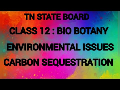 Carbon sequestration | Environmental issues | Class 12 | Tamil | Bio botany | TN state board