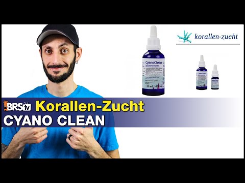 Korallen-Zucht Cyano Clean: A natural way to eliminate Cyanobacteria and keep it away!