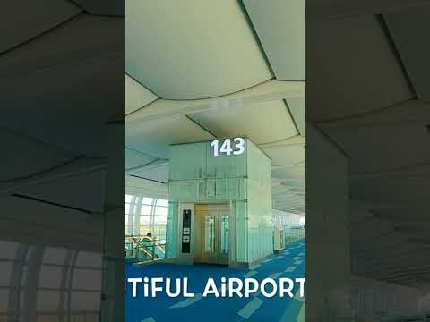 Amazing Airport [Haneda]