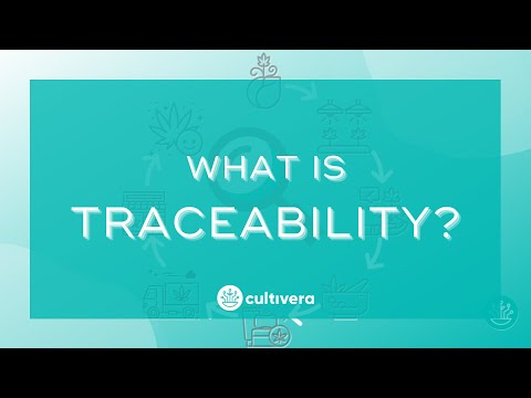 What Is Traceability? An Introduction