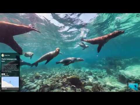 Catlin Seaview Survey joins forces with UNESCO Marine World Heritage