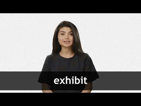 EXHIBIT definition and meaning | Collins English Dictionary