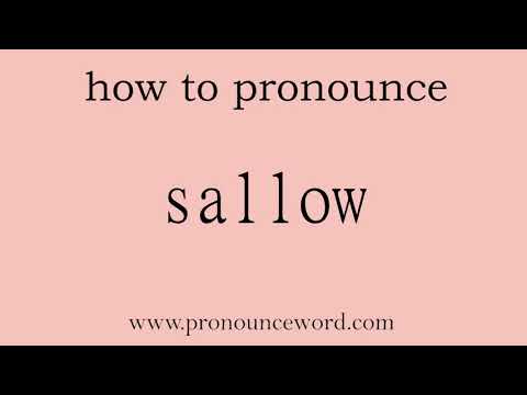 sallow. How to pronounce sallow in english (correct!). Start with S. Learn from me.