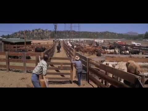 Junior Bonner Western 1972 Steve McQueen, Robert Preston & Ida Lupino