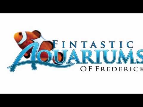 Fintastic Aquariums Of Fredrick