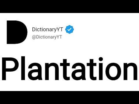 Plantation Meaning in English