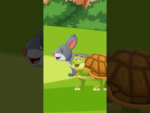 The Rabbit And The tortoise | kids Stories in English | kids want to know