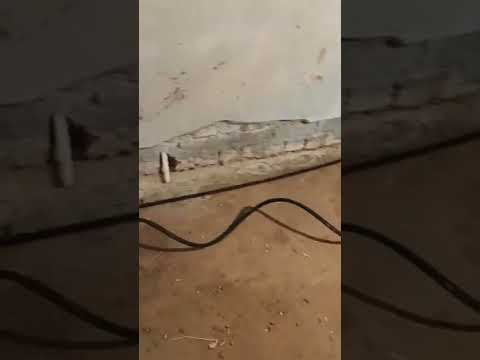 Soil Treatment Services - Termite Control Pipe Reticulation System ...