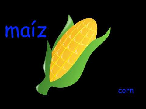 Rosie & Andy: Word of the Day- corn / maíz