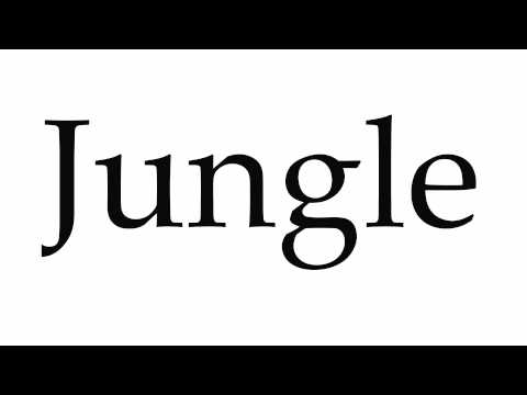 How to Pronounce Jungle