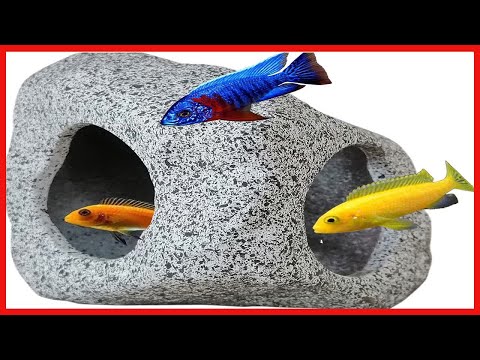 SpringSmart Aquarium Hideaway Rock Cave for Aquatic Pets to Breed, Play and Rest, Safe and Non-Toxic