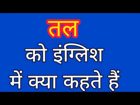 Tal ko english mein kya kahate hain | तल को इंग्लिश में क्या कहते हैं | Floor meaning in hindi
