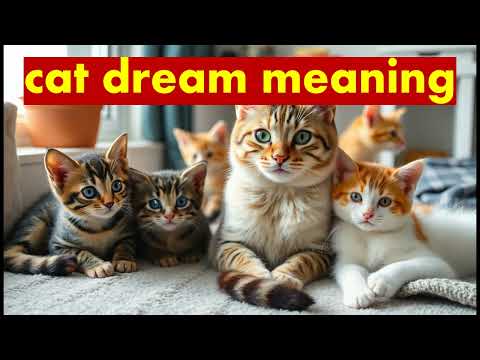 cat dream meaning/dream of a black cat meaning/dreaming of a cat attacking me/scratching/following