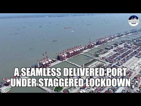 Shanghai Port in operation 7/24 under staggered lockdown delivers smooth delivery