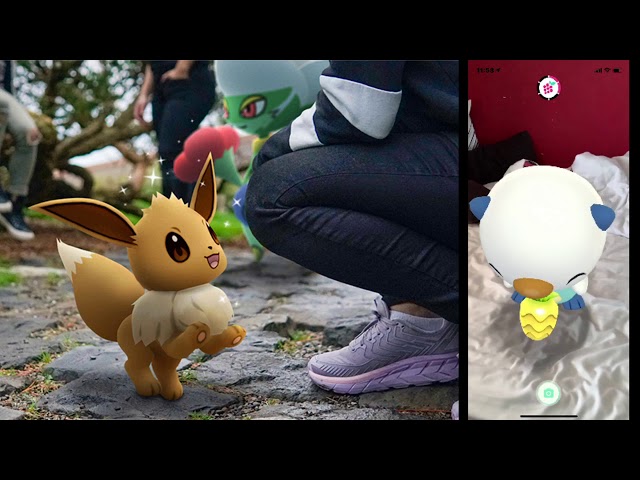 How to use a Poffin in Pokemon GO