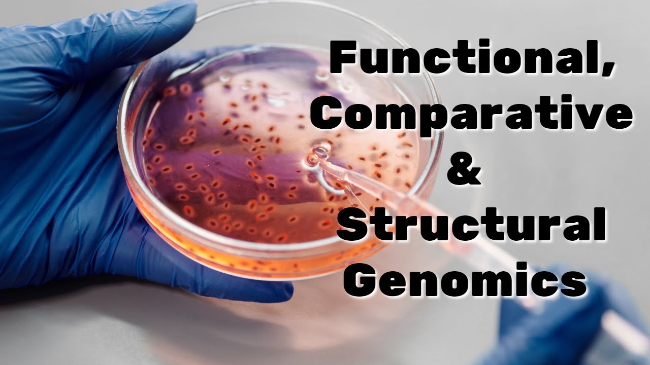 Functional, Comparative & Structural Genomics| Explained| Genomics & Proteomics