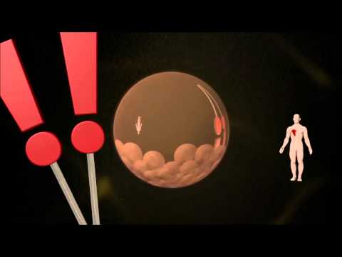 LES " CELLULES SOUCHES " C' EST QUOI ?, EXPLICATION .HD