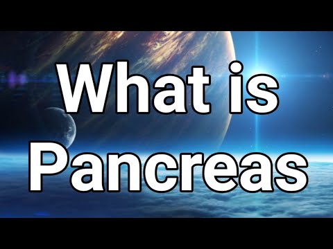 What is Pancreas. Urdu/ English
