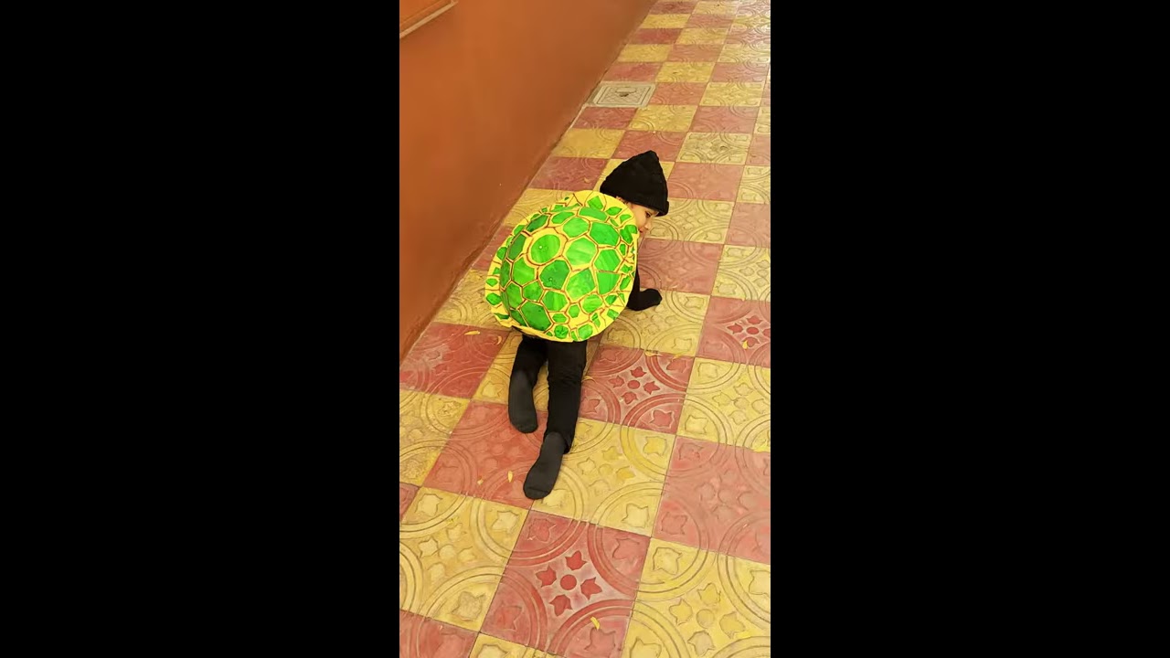 Turtle Fancy dress#john