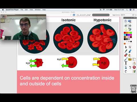 Osmosis + Tonicity (Biology Review) - Human Anatomy & Physiology