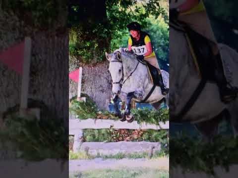 Quinpool stables and livery yard info