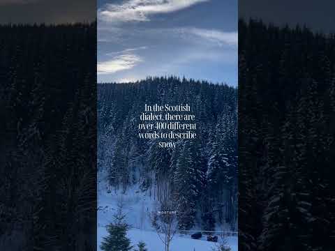 400 Words for Snow!