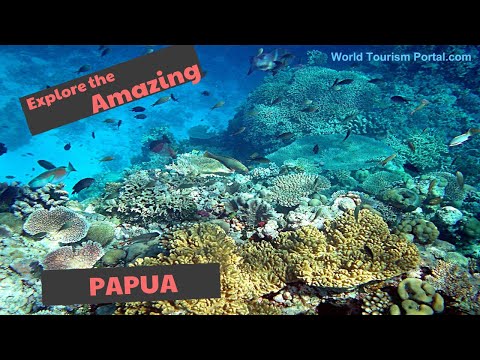 Top things to do and see in Papua New Guinea! | Papua travel guide | World Tourism Portal