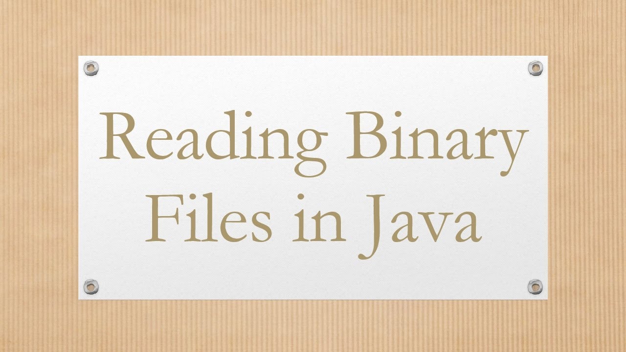 Reading Binary Files in Java