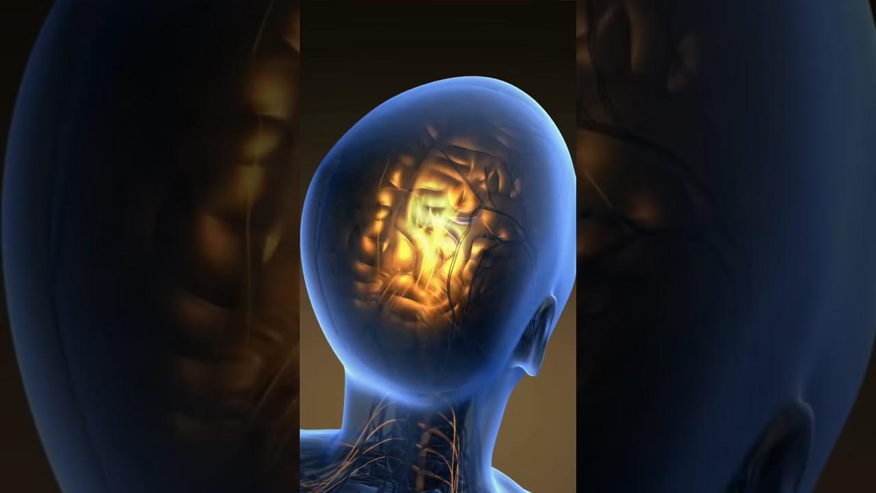 Head Massage is the Greatest Thing You Can Do!  Dr. Mandell
