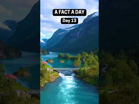 Day 13 of A Fact A Day! What new things will you learn today? #facts #interestingfacts #motivation