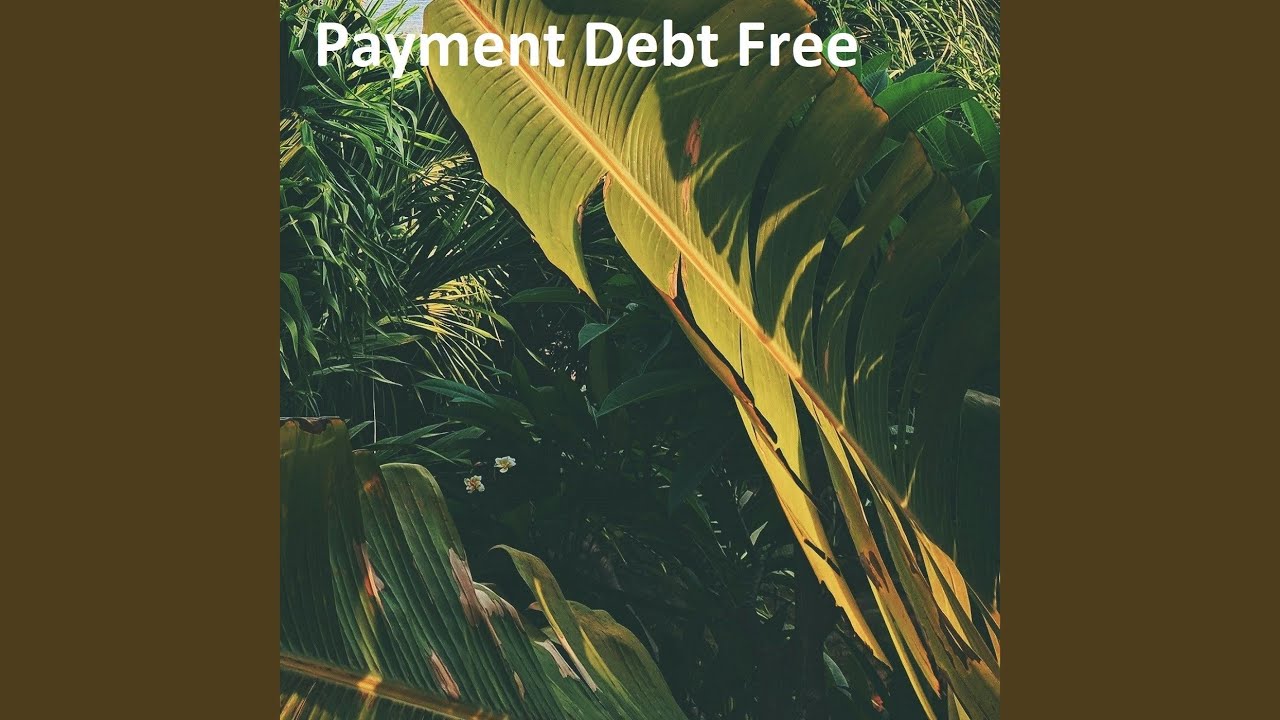 Payment Debt Free