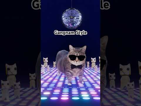 OIIA Cat x Gangnam Style