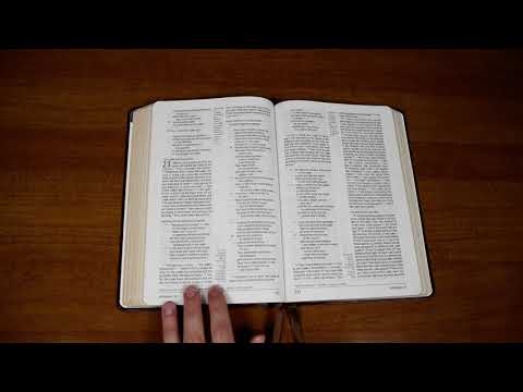 HCSB Large Print Ultrathin Reference Bible / Bible Review